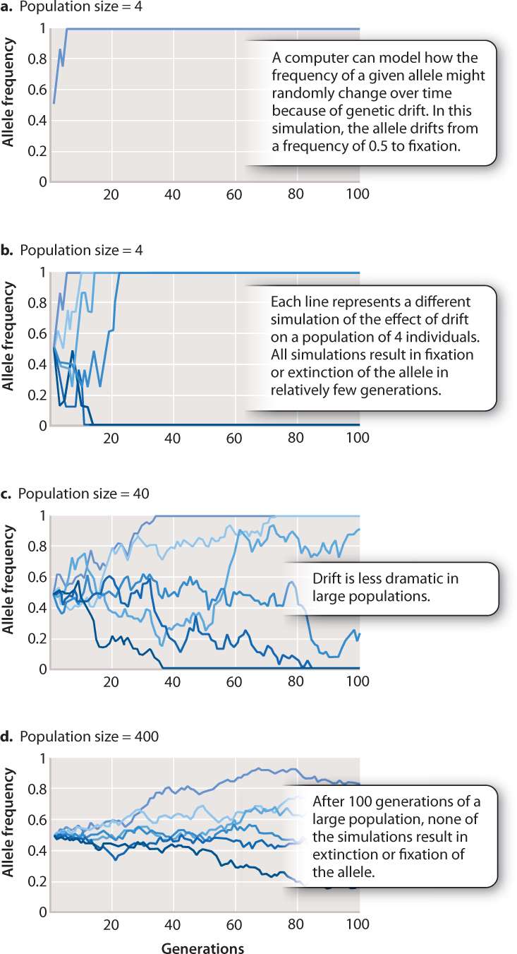 houghton biology site